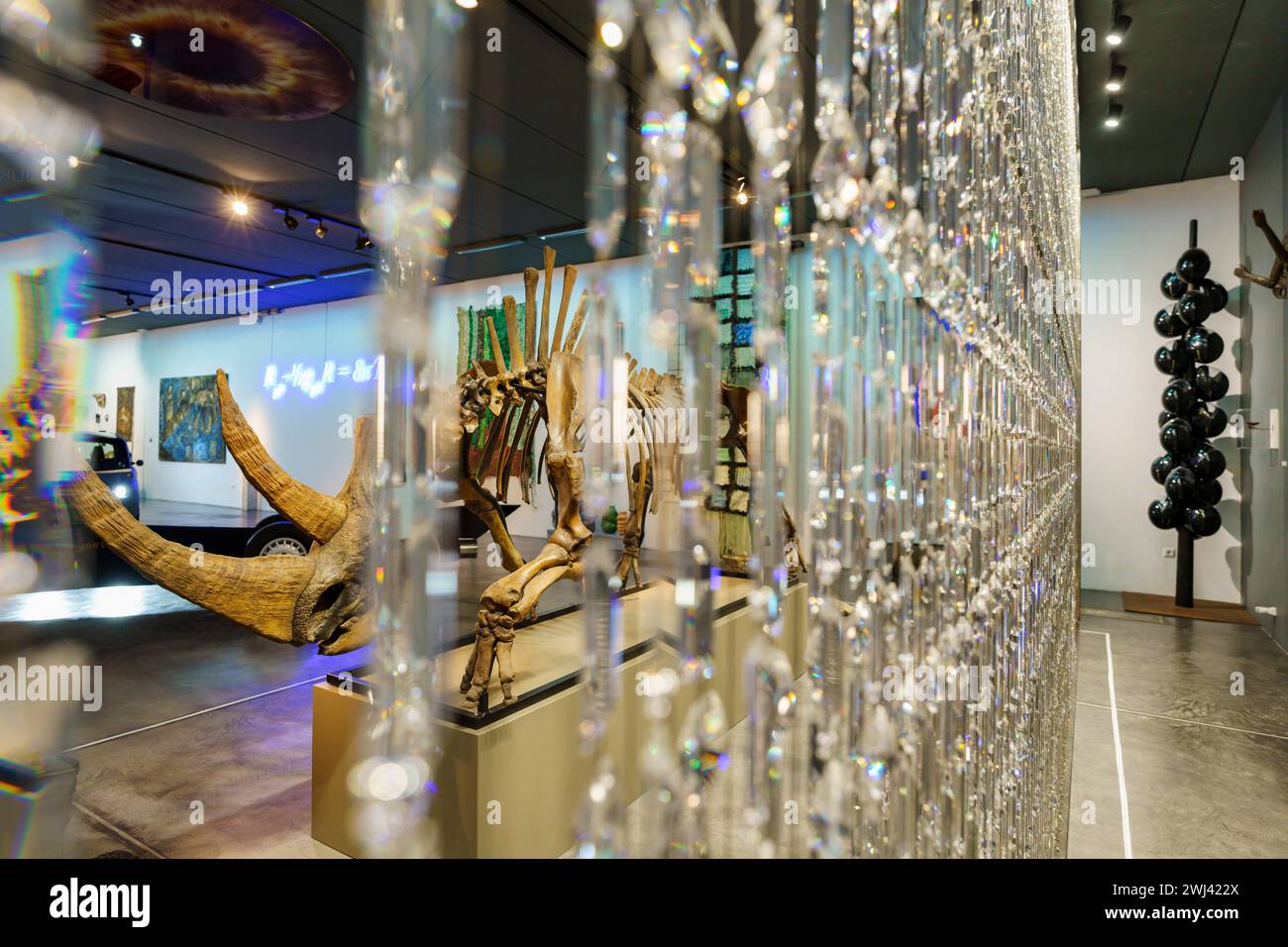 Curtain of Swarovski crystals and fossilized skeleton of Siberian ...