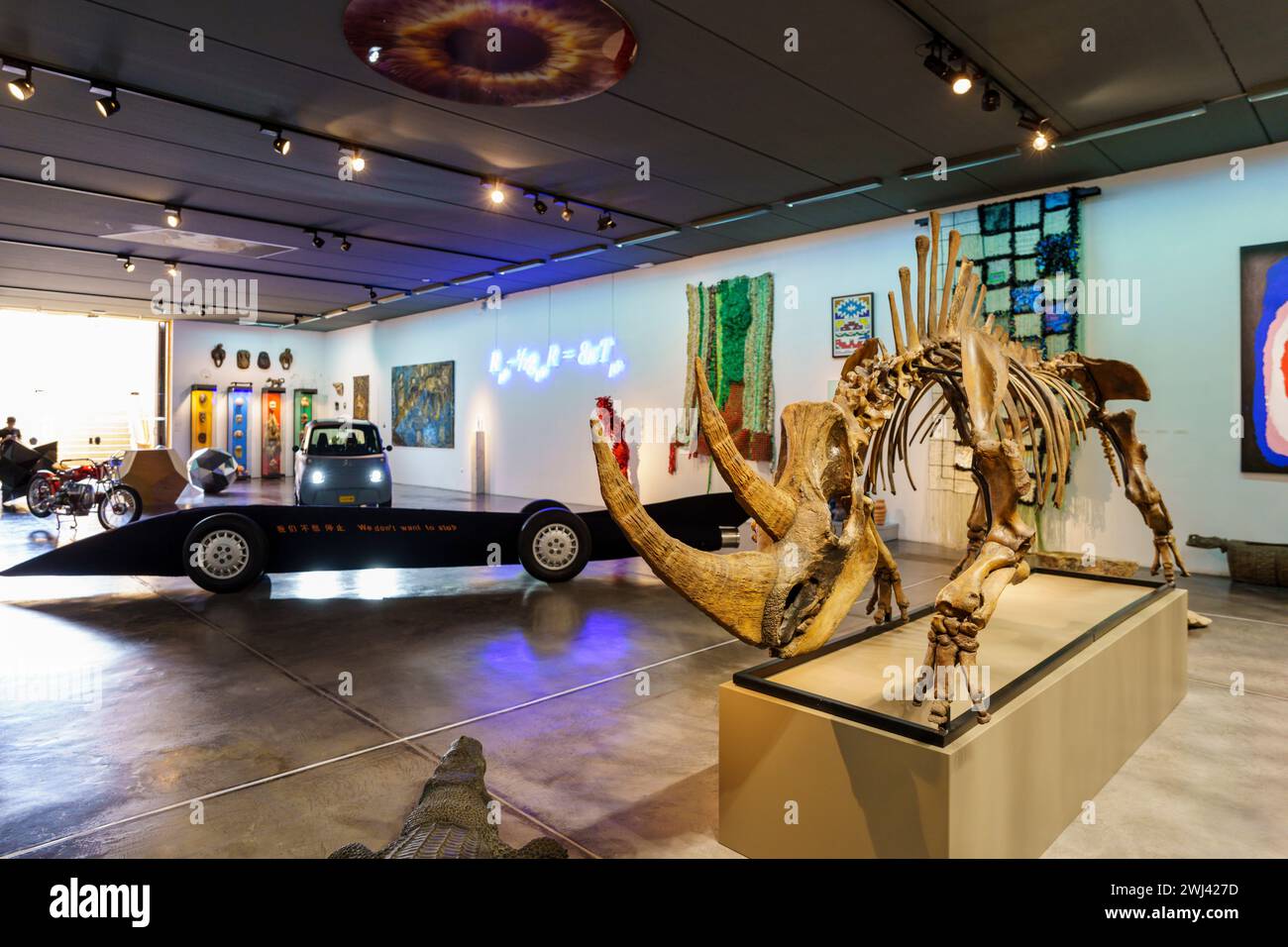 fossilized skeleton of Siberian woolly rhinoceros (Coelodonta ...