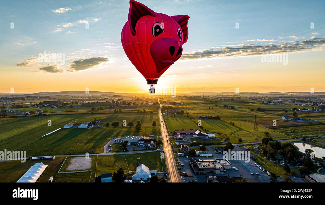 Aerial View of Hot Air Balloons Floating Away One is a Pigs Head, in ...