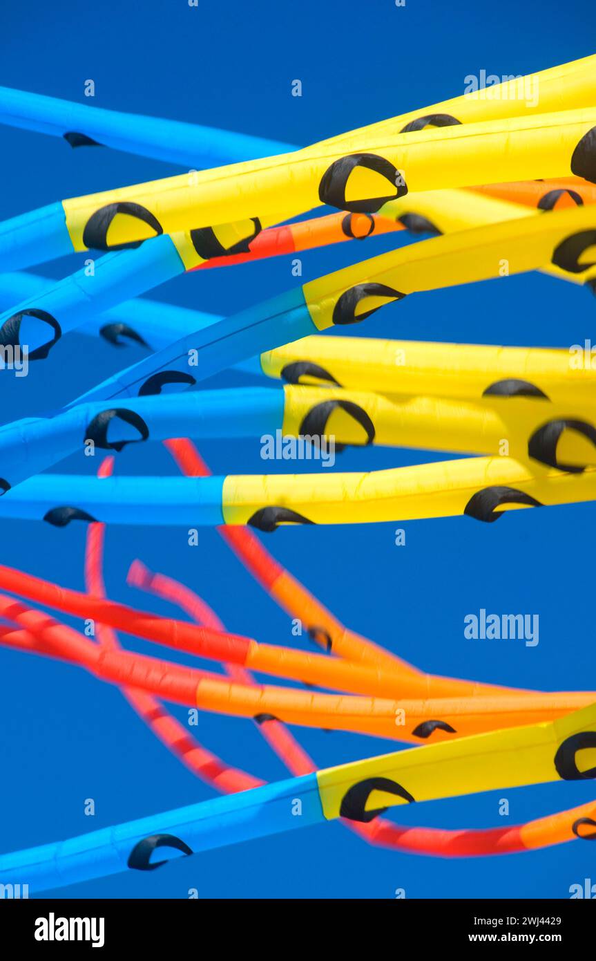 Octopus kite legs, Lincoln City Summer Kite Festival, Dee River State ...