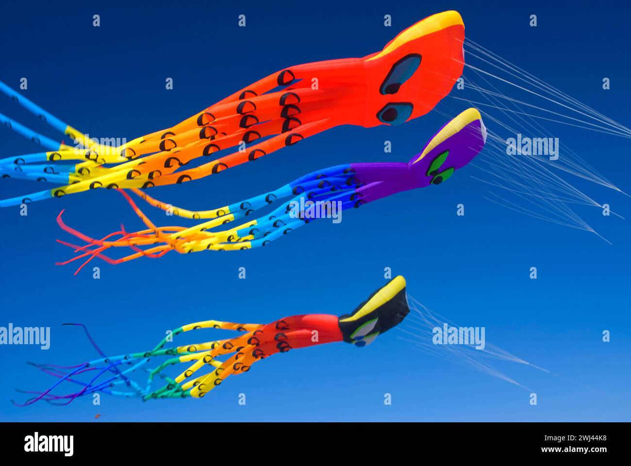 Octopus kites, Lincoln City Summer Kite Festival, Dee River State Park ...