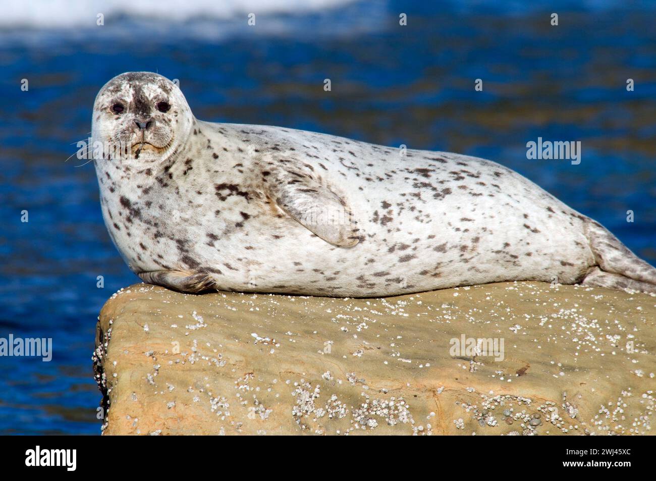 Devils punch bowl state park hi-res stock photography and images - Alamy