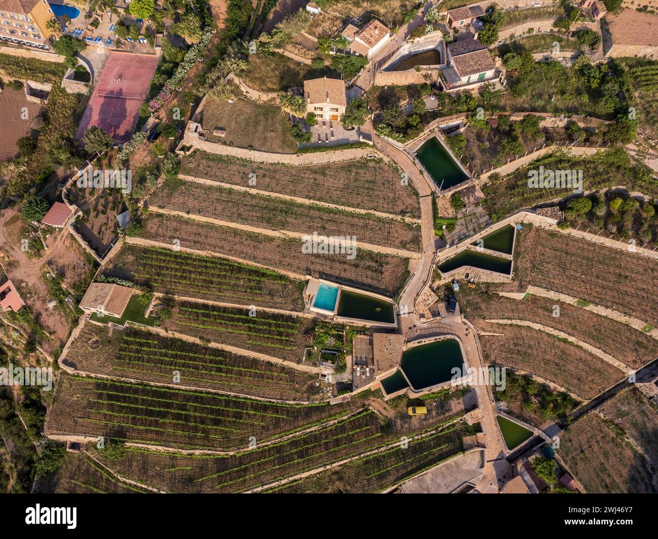 Historical plant cultivation hi-res stock photography and images - Alamy