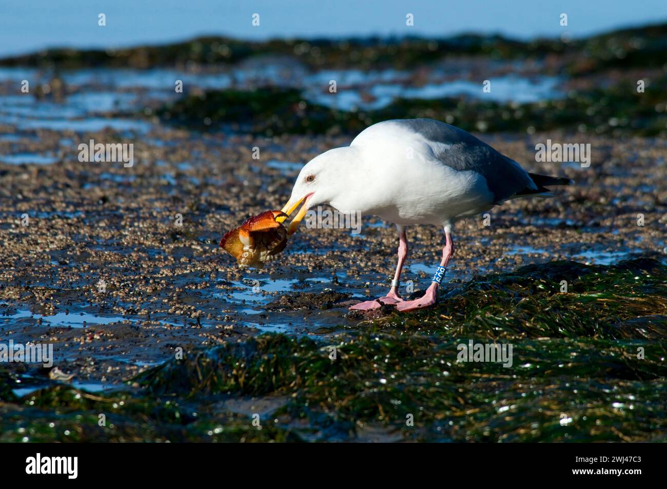 Devils punch bowl state park hi-res stock photography and images - Alamy