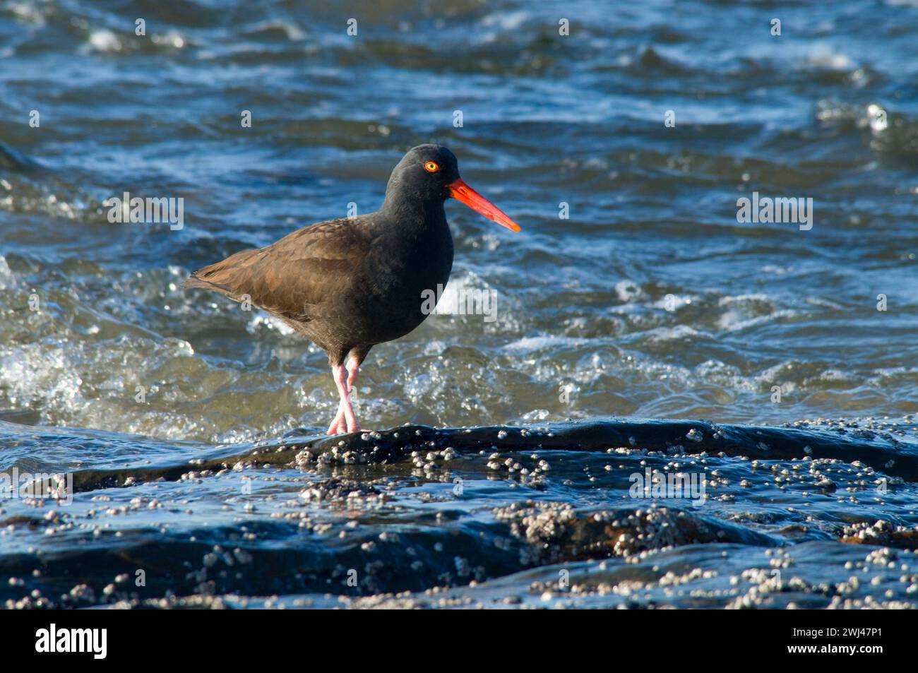 Devils punch bowl state park hi-res stock photography and images - Alamy