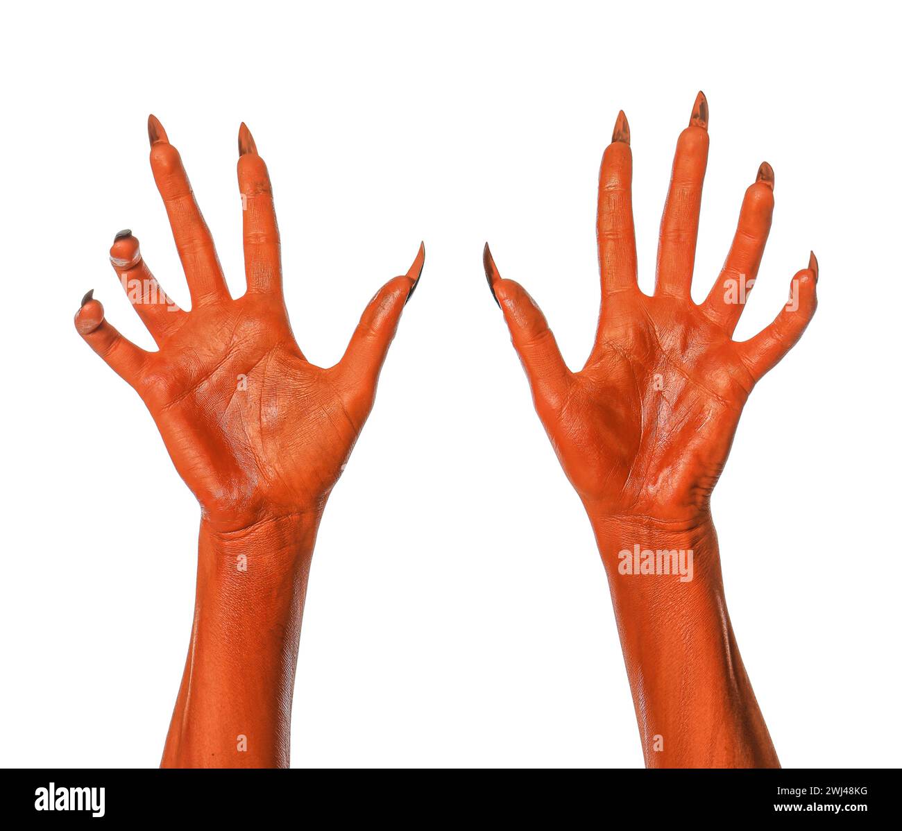 Female claw claws Cut Out Stock Images & Pictures - Alamy