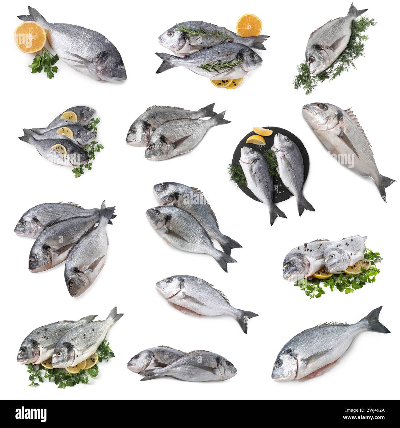 Raw dorada fish isolated on white, set Stock Photo - Alamy