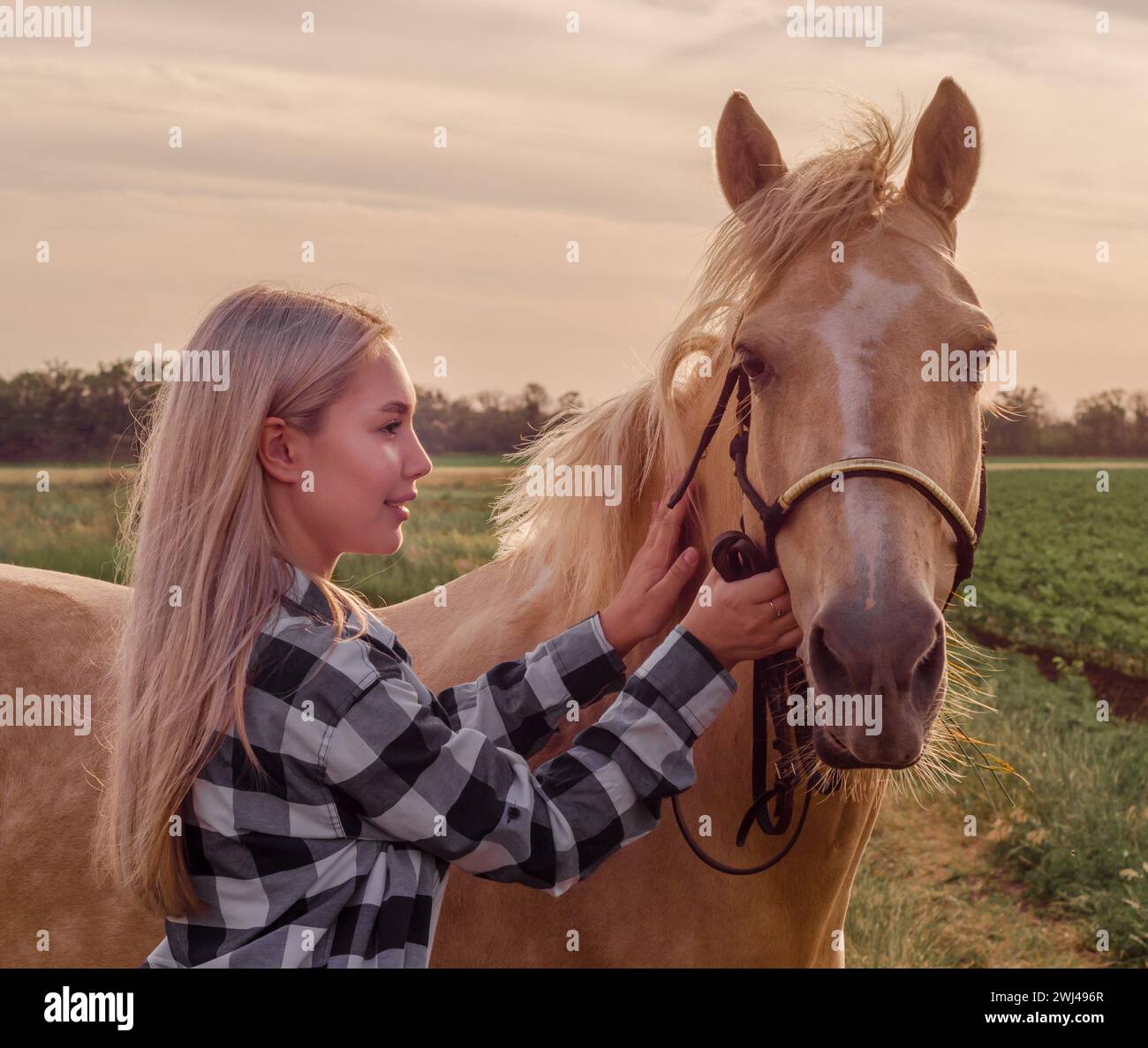 Young blonde girl with a beige horse on the ranch on the background of ...