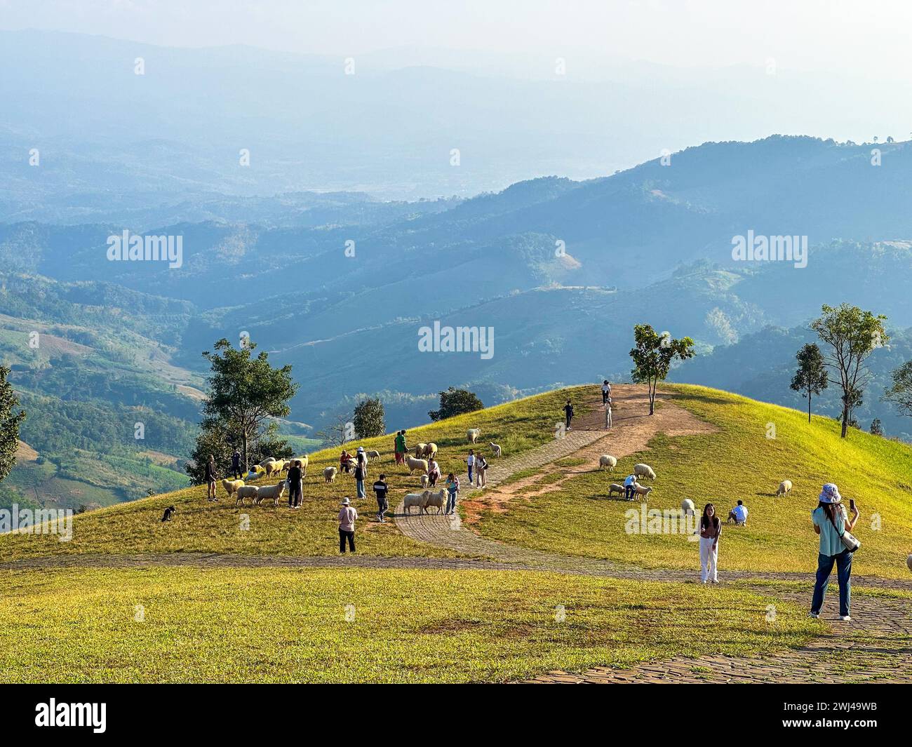Doi Chang in Chiang Rai, Thailand Stock Photo - Alamy