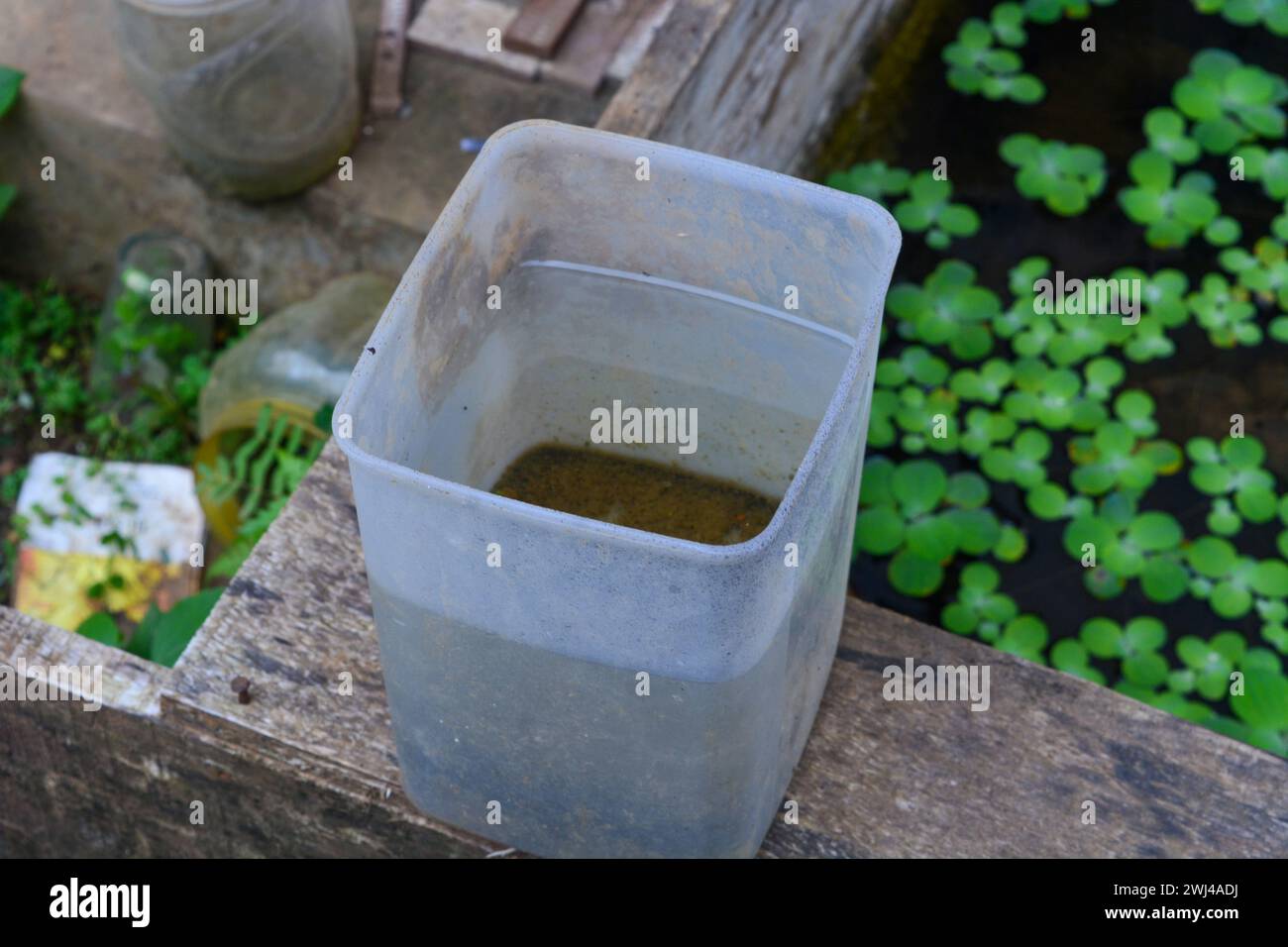 close up of a water reservoir originating from a spring in Wonosobo ...
