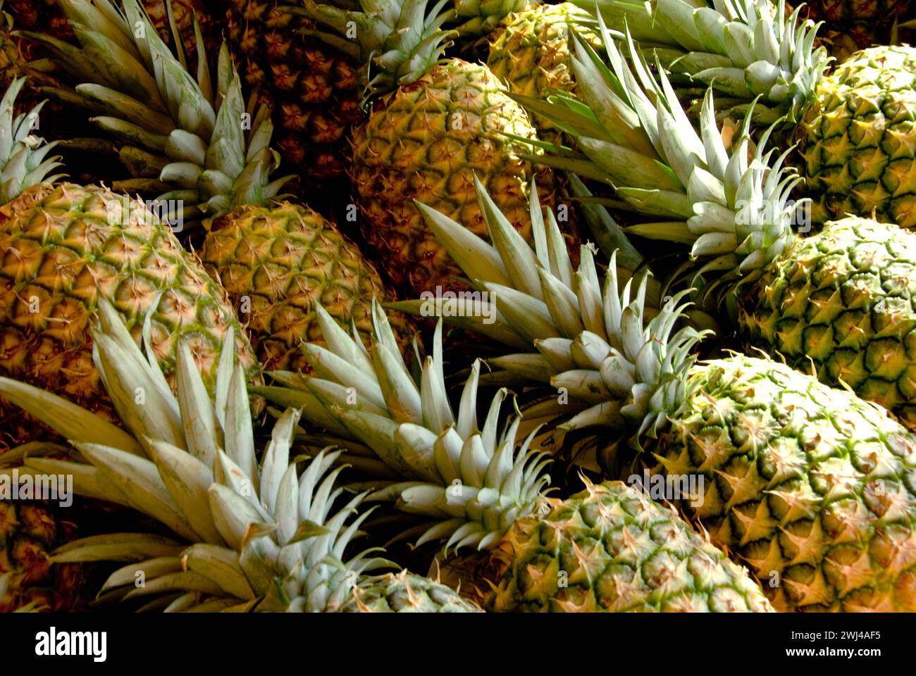 pineapples on display in grocery store Stock Photo - Alamy