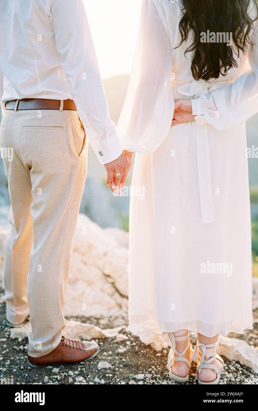 Bride and groom are standing holding hands on the mountain. Back view ...