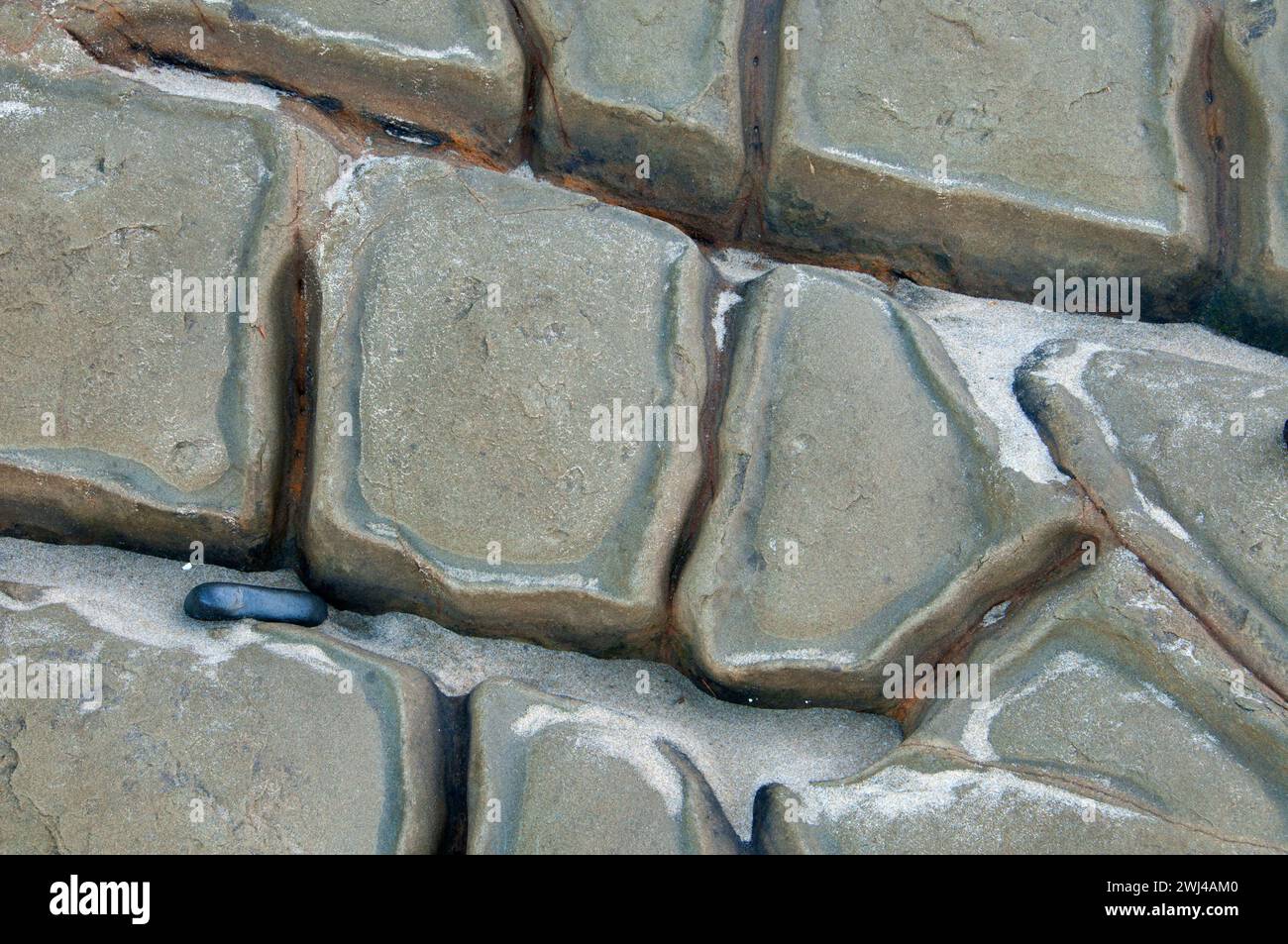 Tidal rock outcrop, Lost Creek State Park, Oregon Stock Photo - Alamy