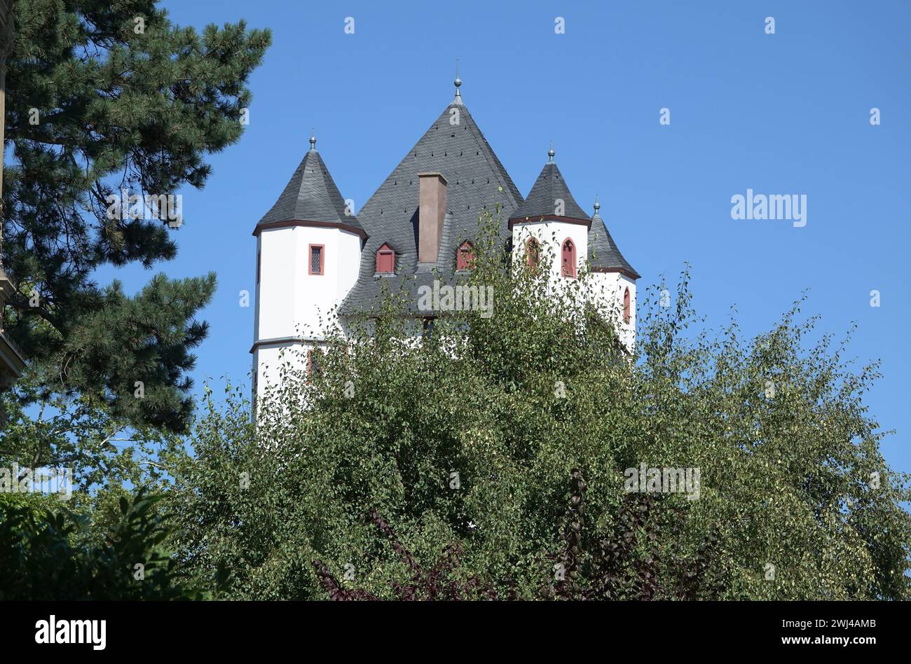 Eltville burg hi-res stock photography and images - Alamy