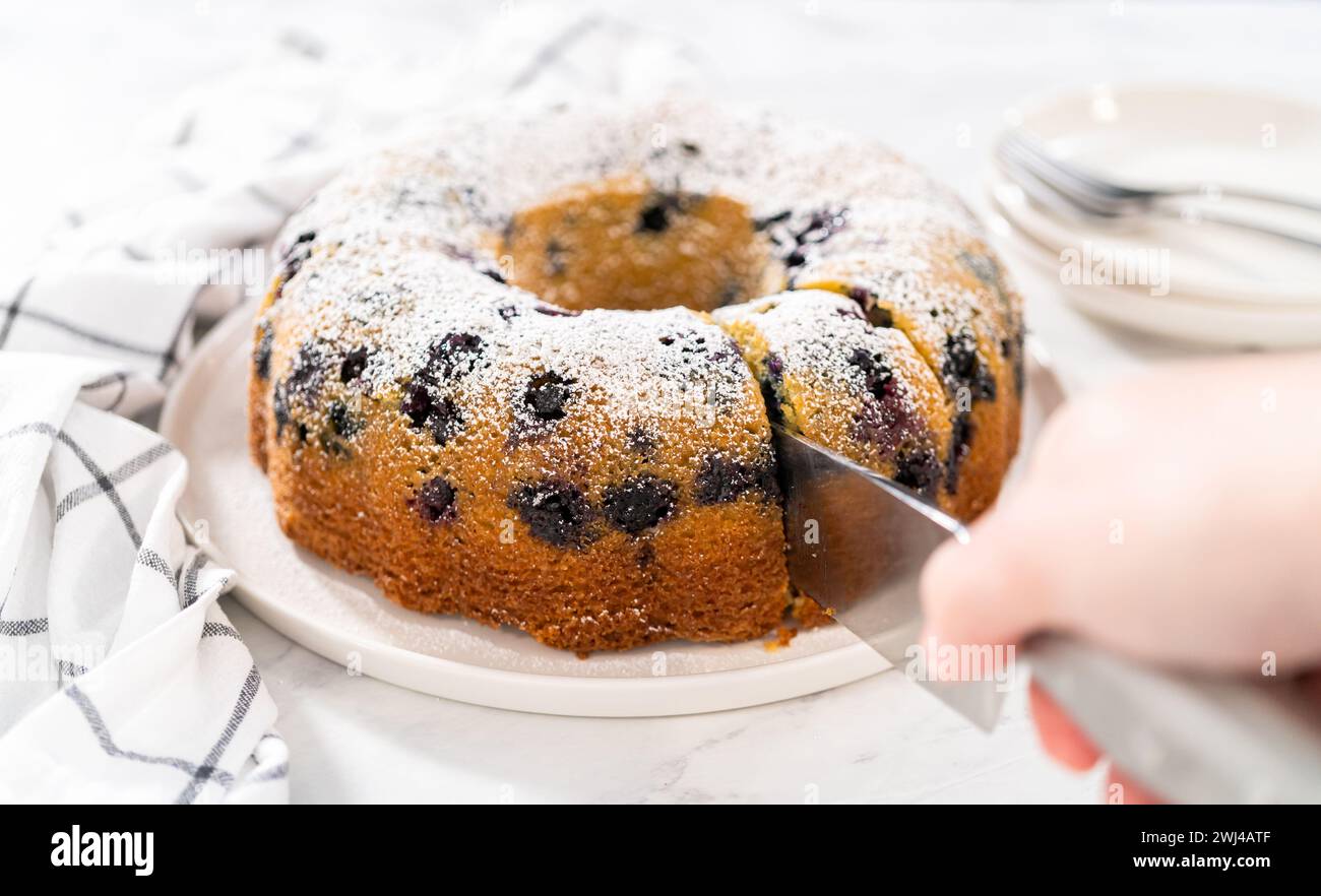 Lemon blueberry bundt cake with powdered sugar dusting Stock Photo - Alamy