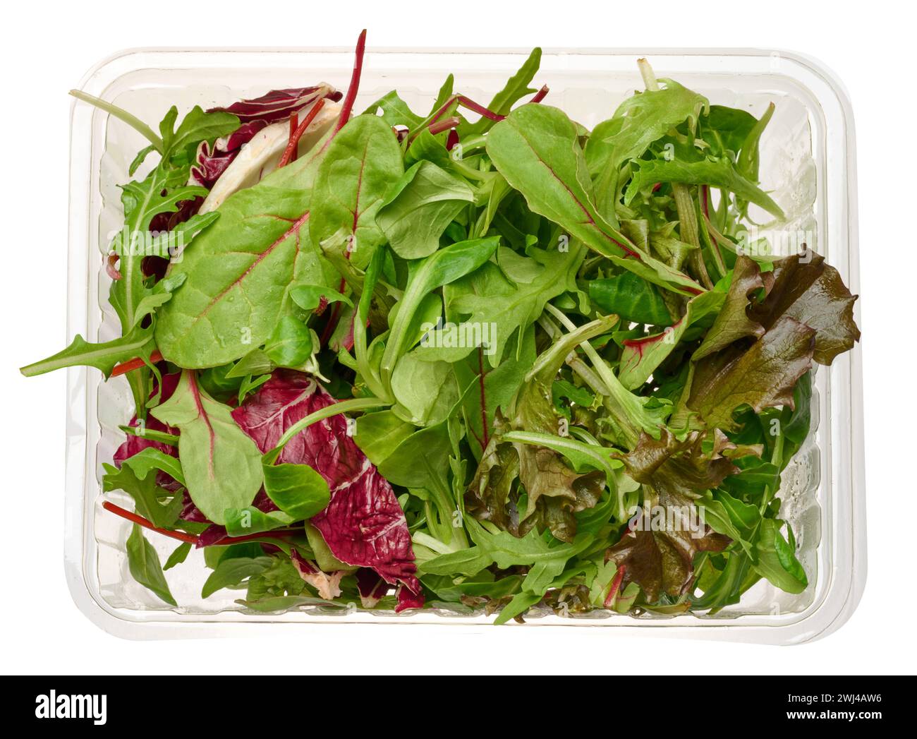 Vitamin packaging Cut Out Stock Images & Pictures - Alamy