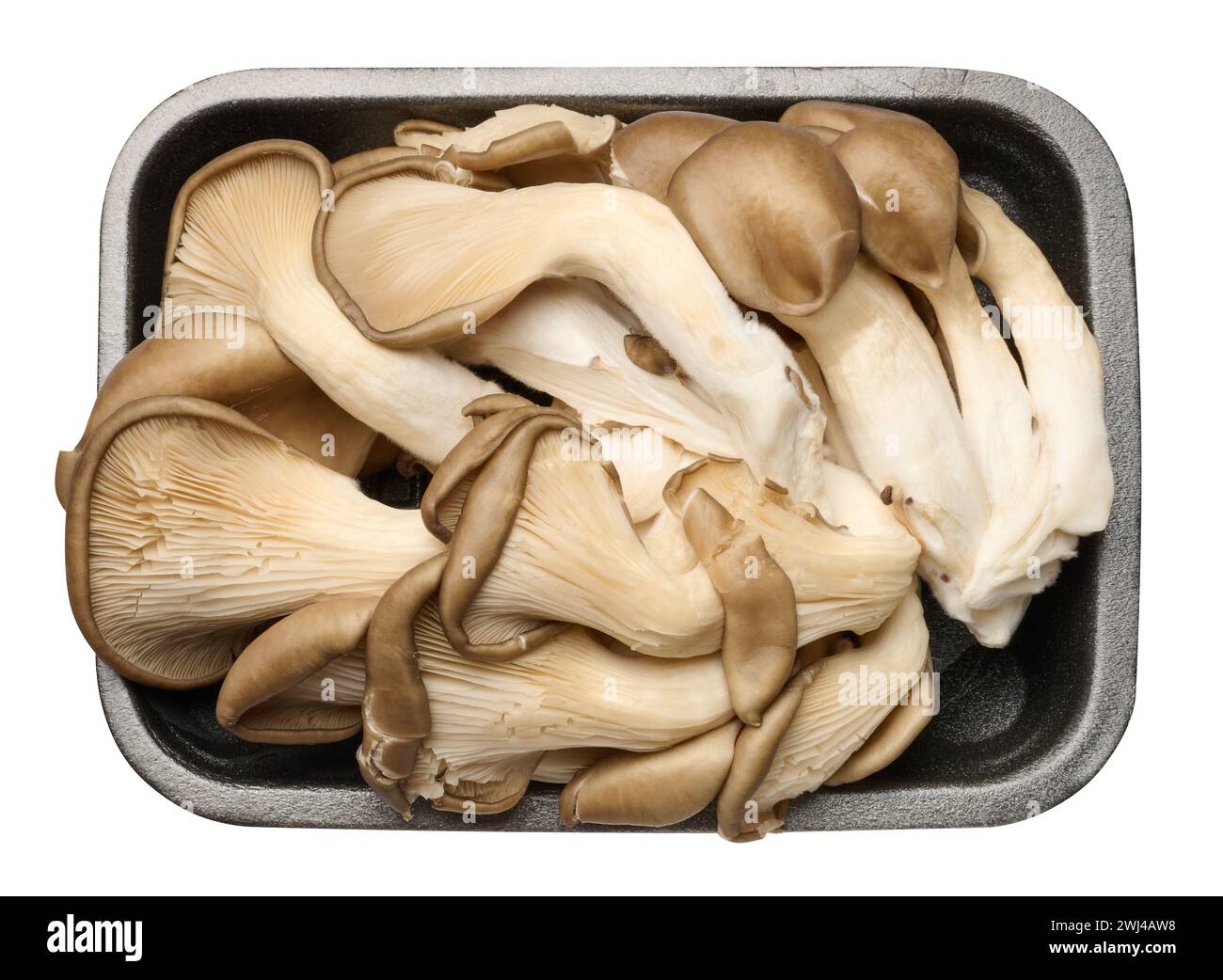 Fresh oyster mushrooms in a container, top view Stock Photo - Alamy