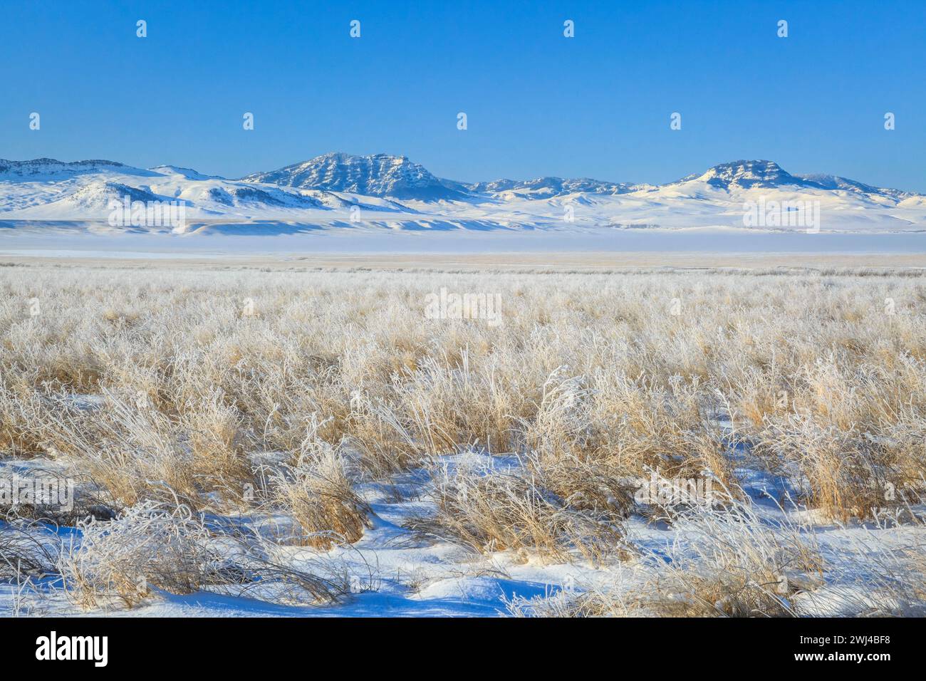 Mt d1582 hi-res stock photography and images - Alamy