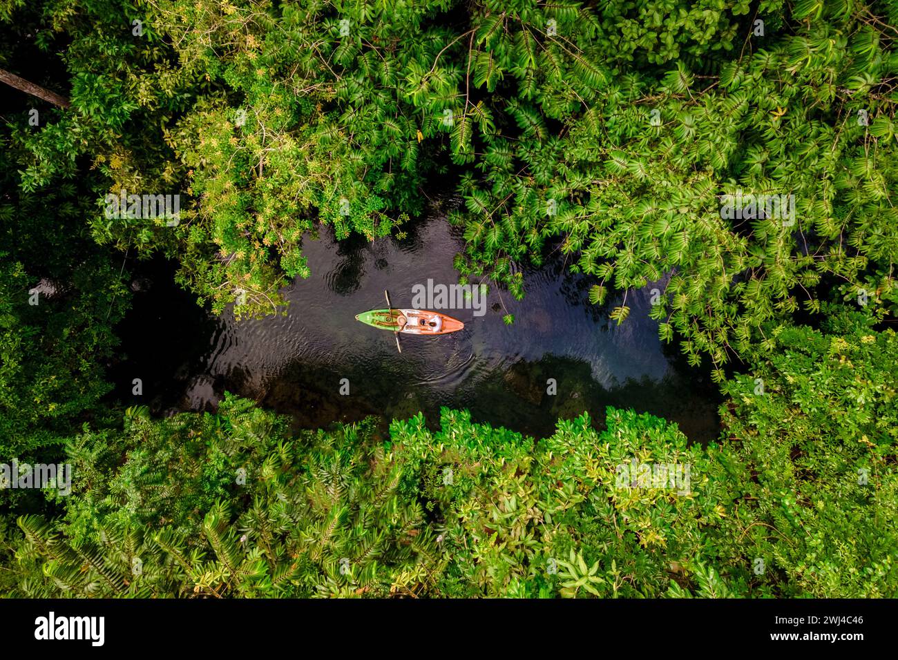 Couple in a kayak in the jungle of Krabi Thailand, men and woman in ...