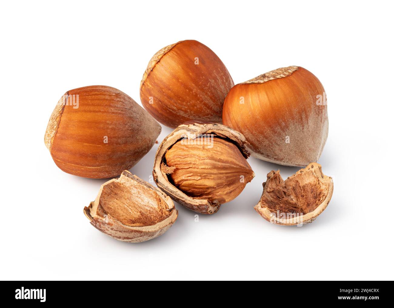 Fresh hazelnuts shell leaf Cut Out Stock Images & Pictures - Alamy