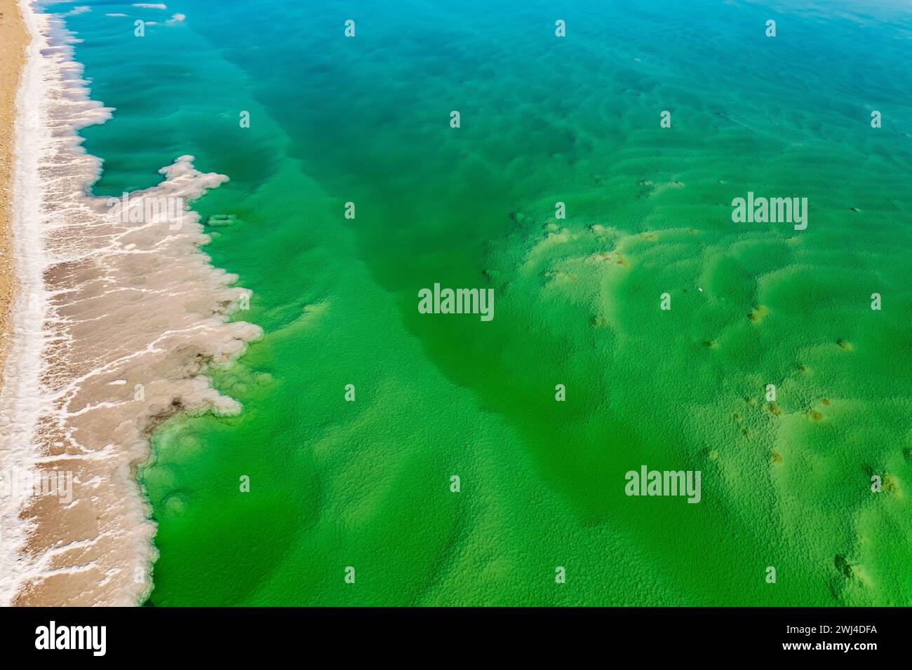 The clear green water Stock Photo - Alamy