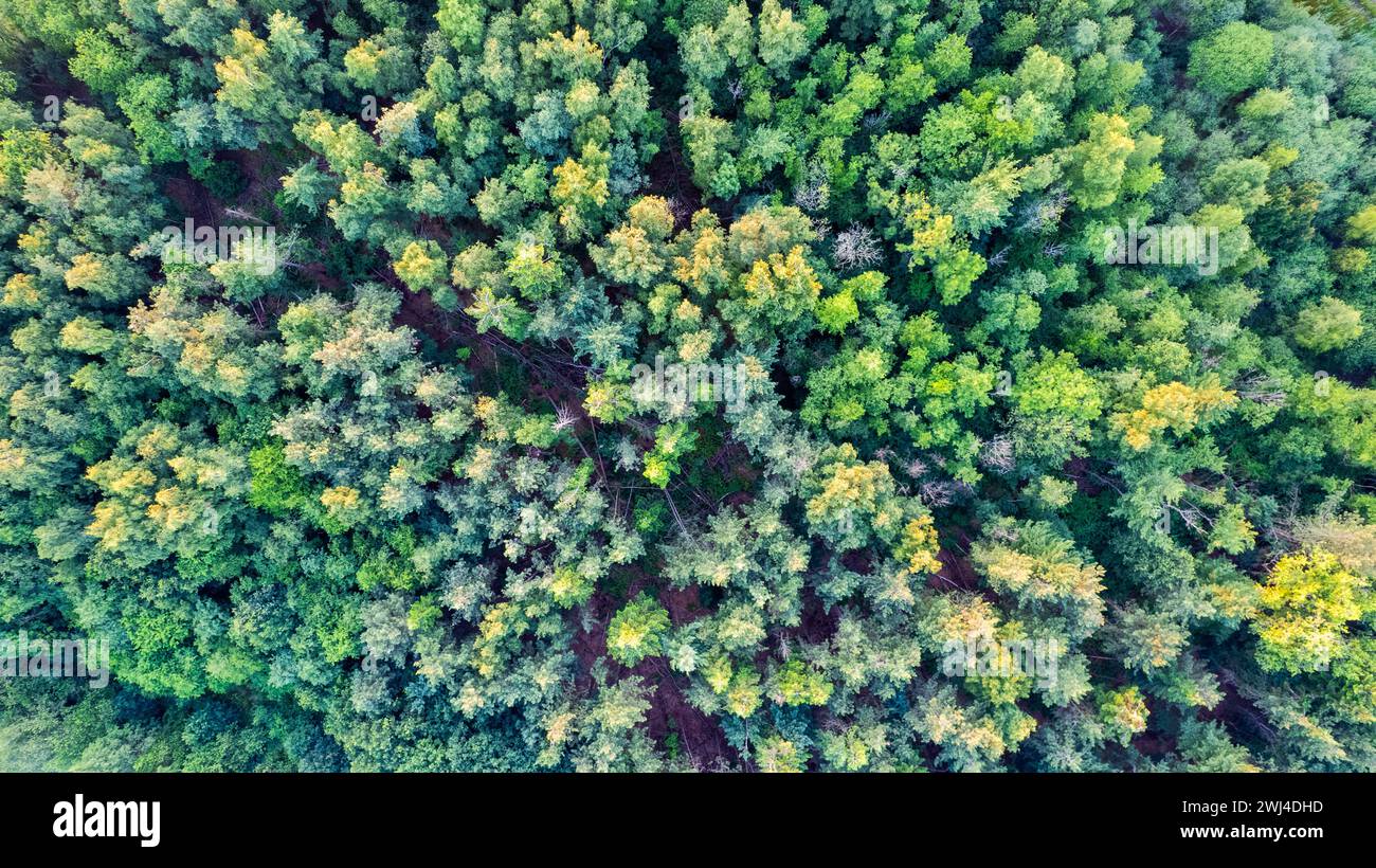 Aerial view vibrant verdant hi-res stock photography and images - Alamy