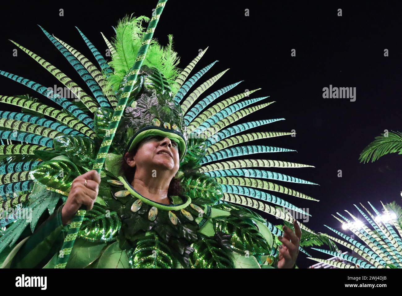Members of the Nene da Vila Matilde Samba School during the Access ...