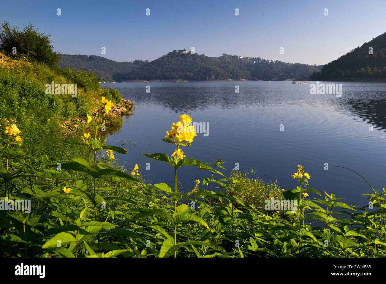 Frankenberg castle hi-res stock photography and images - Alamy