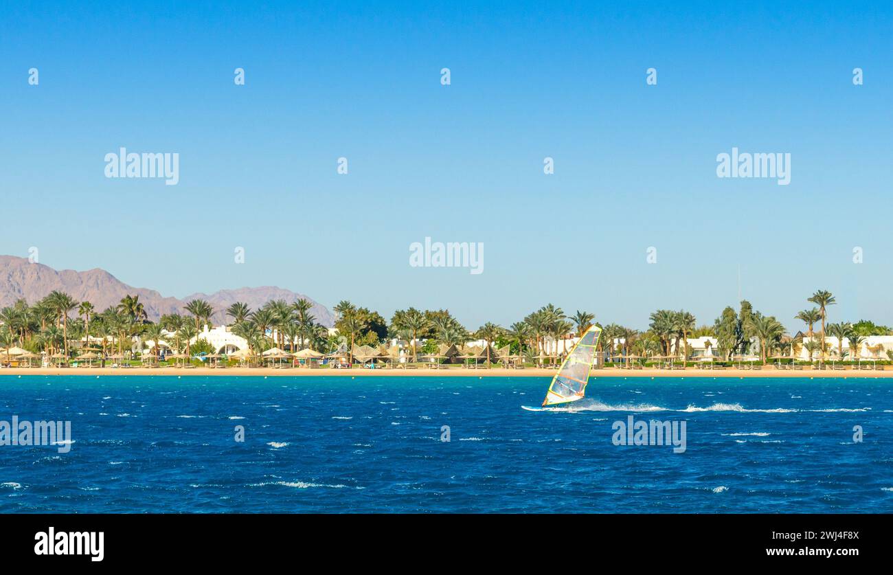 Windsurfer rides on the background of the beach with palm trees and ...