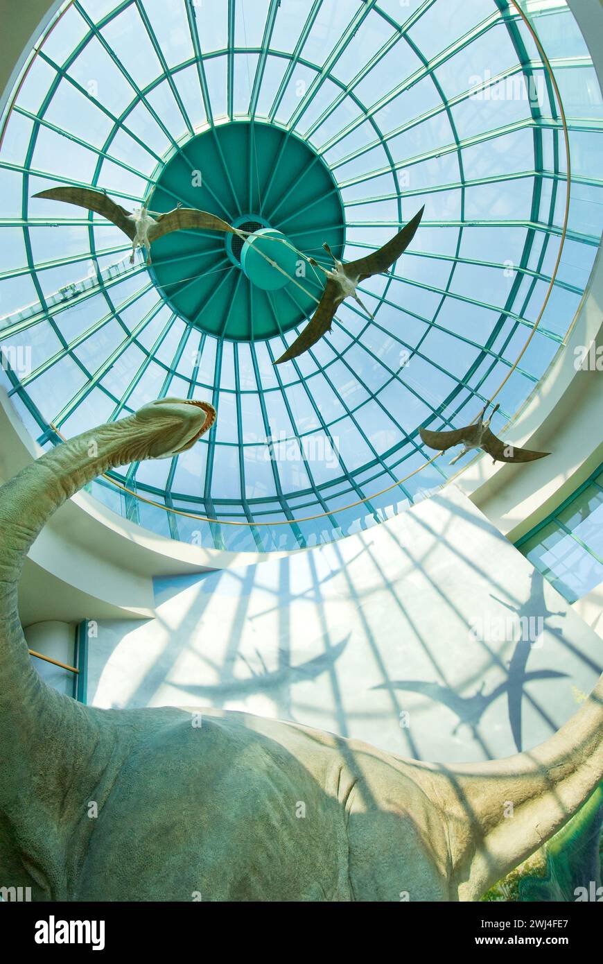 North Carolina Museum of Natural Sciences building's glass dome houses ...