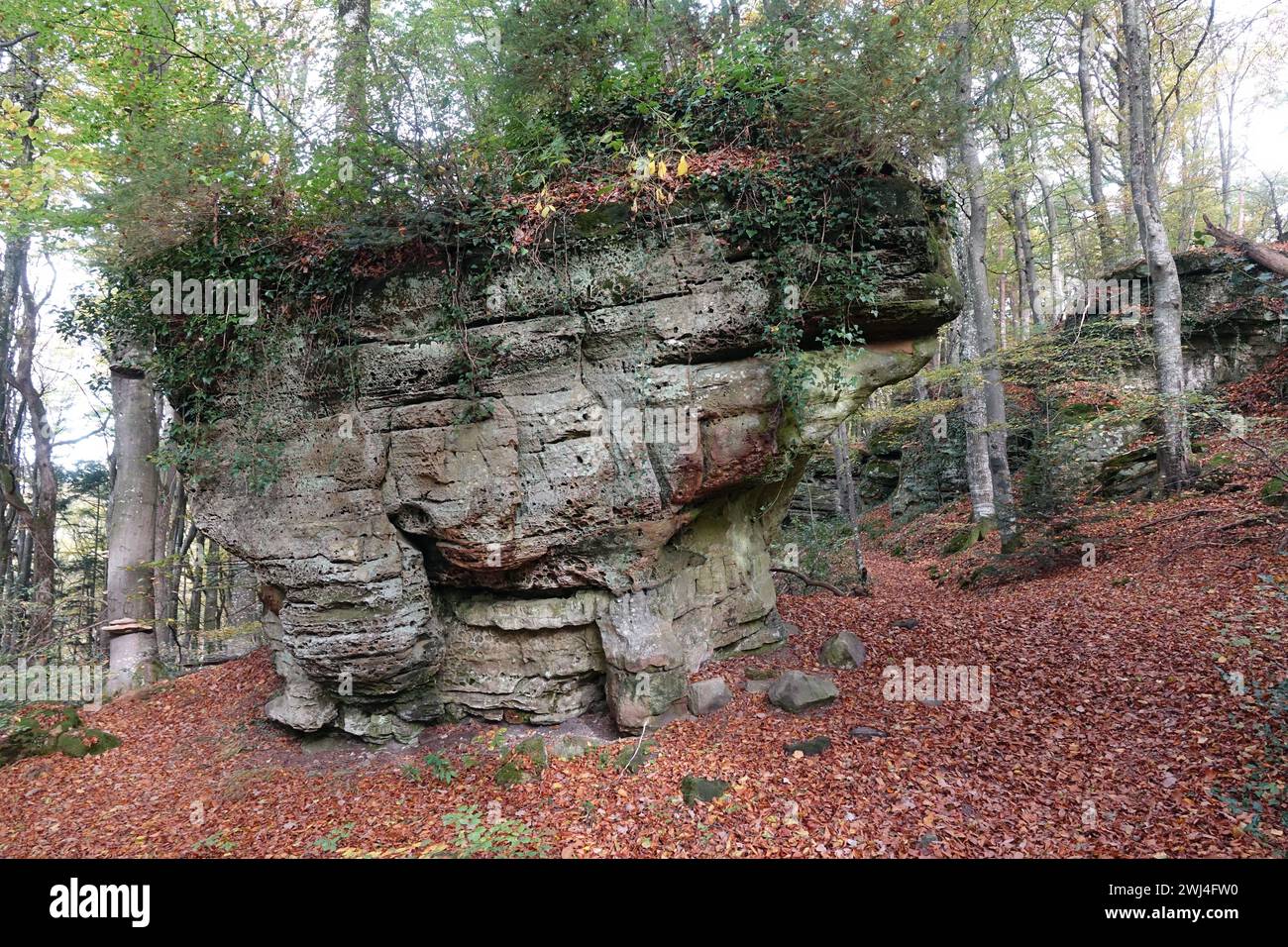 Rocks near Consdorf in the Muellerthal, Luxembourg Stock Photo - Alamy
