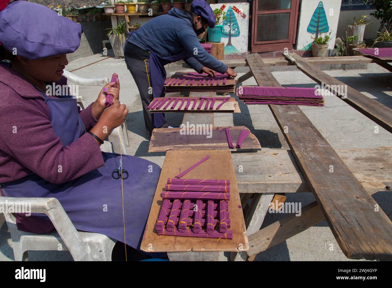 Bundling sun-dried incense at the Tshenden Incense factory, Bondey ...