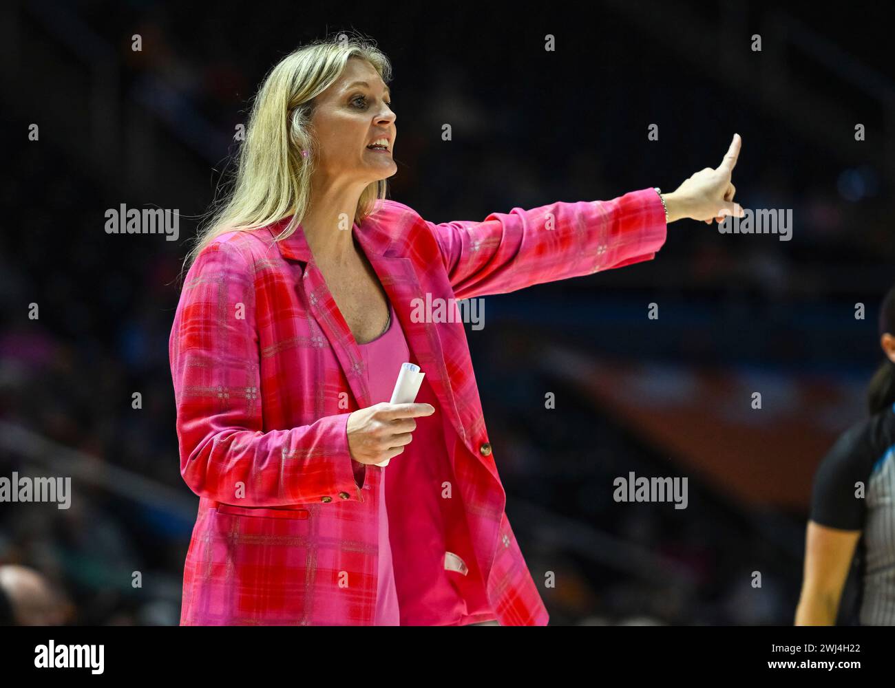 KNOXVILLE, TN - FEBRUARY 12: Tennessee Lady Vols head coach Kellie ...