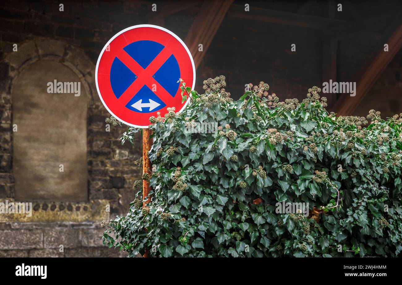 The traffic sign at the hedge Stock Photo - Alamy