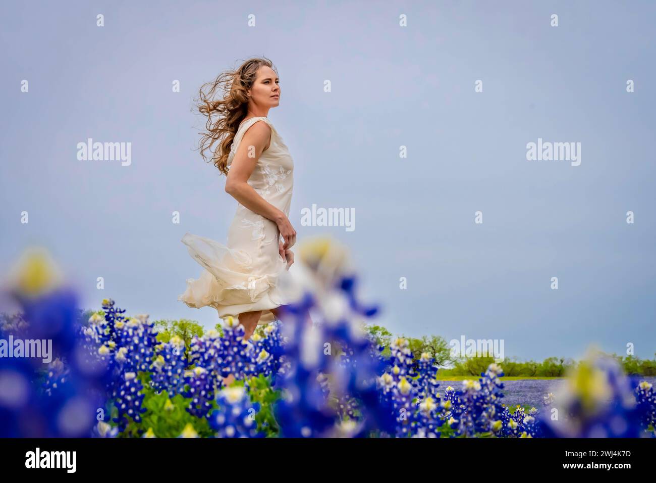 A Lovely Brunette Model Poses In A Field Of Bluebonnet Flowers In A ...