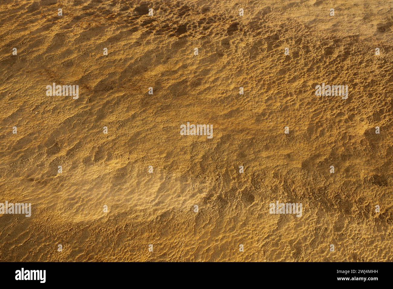 Water flowing over thermophiles in Mound Spring in Yellowstone National ...