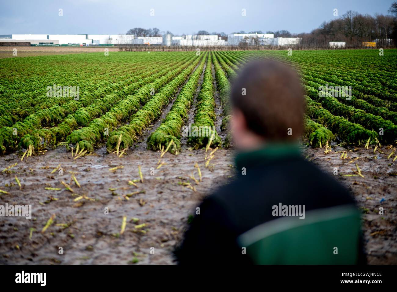 Gottfried gerken hi-res stock photography and images - Alamy