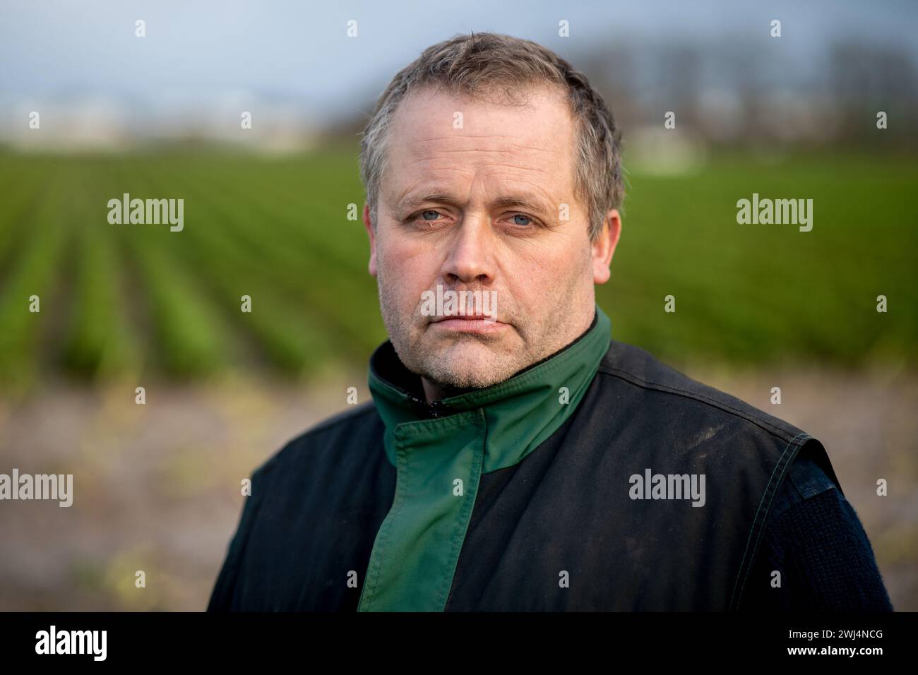 Vechta, Germany. 12th Feb, 2024. Gottfried Gerken, a fruit and ...
