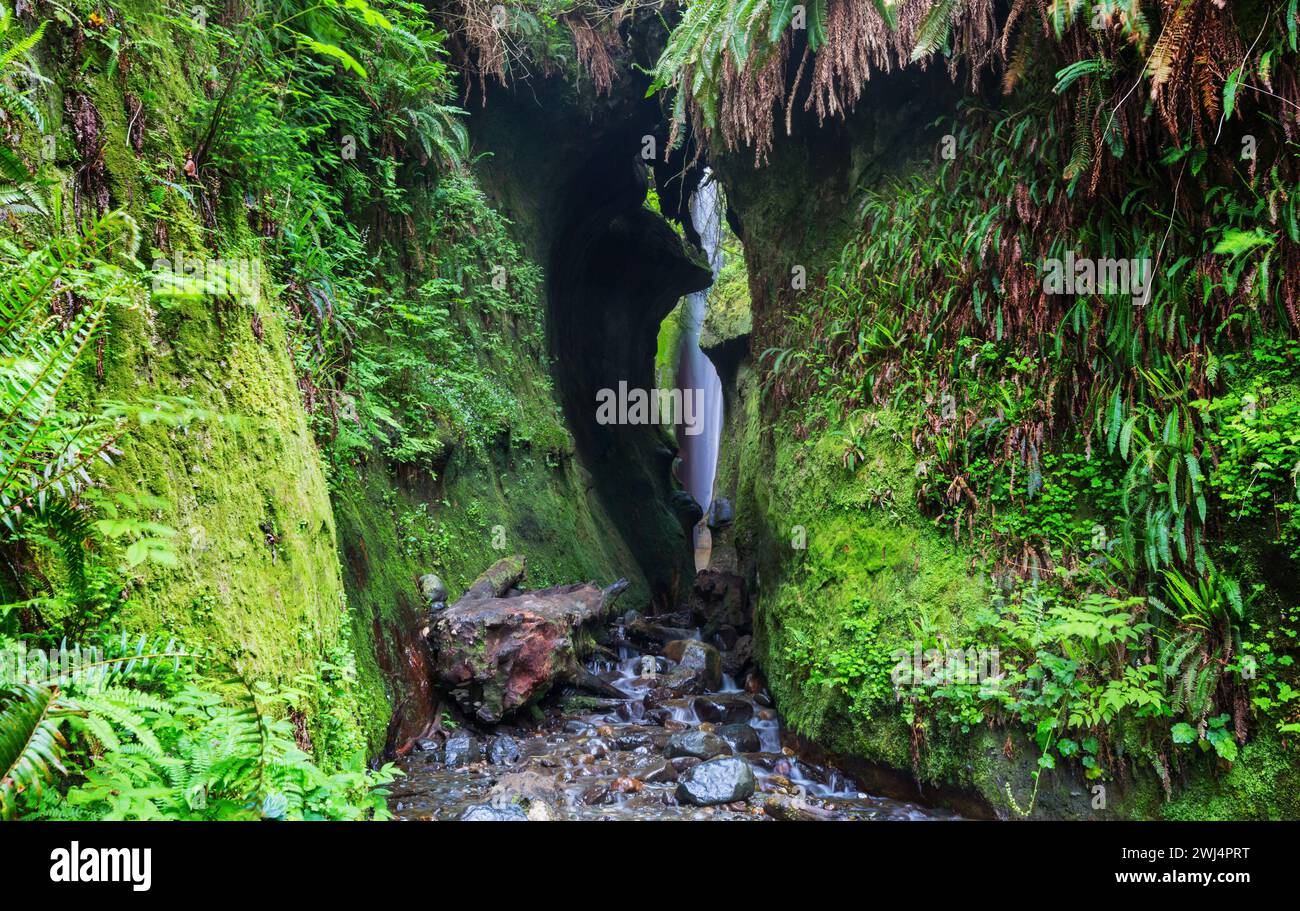 Beautiful nature scenery hidden canyon hi-res stock photography and ...
