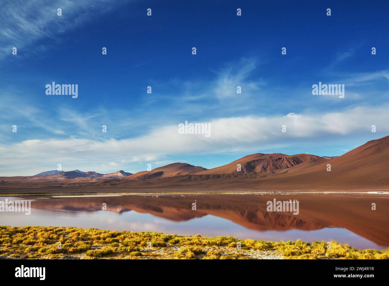 The Laguna Colorada is one of the most beautiful places on earth that ...