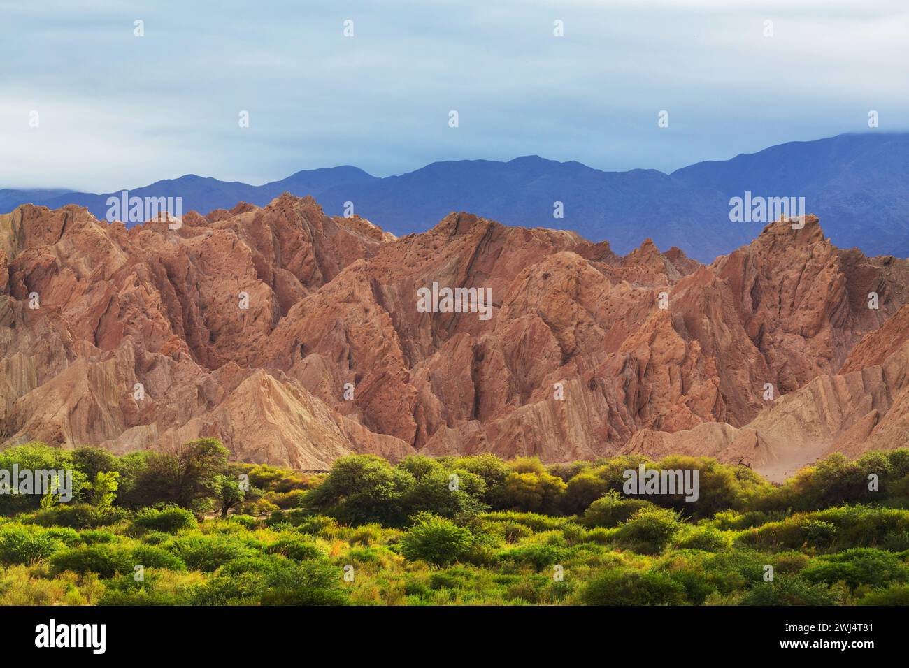 Andes mountains in northern Argentina Stock Photo - Alamy