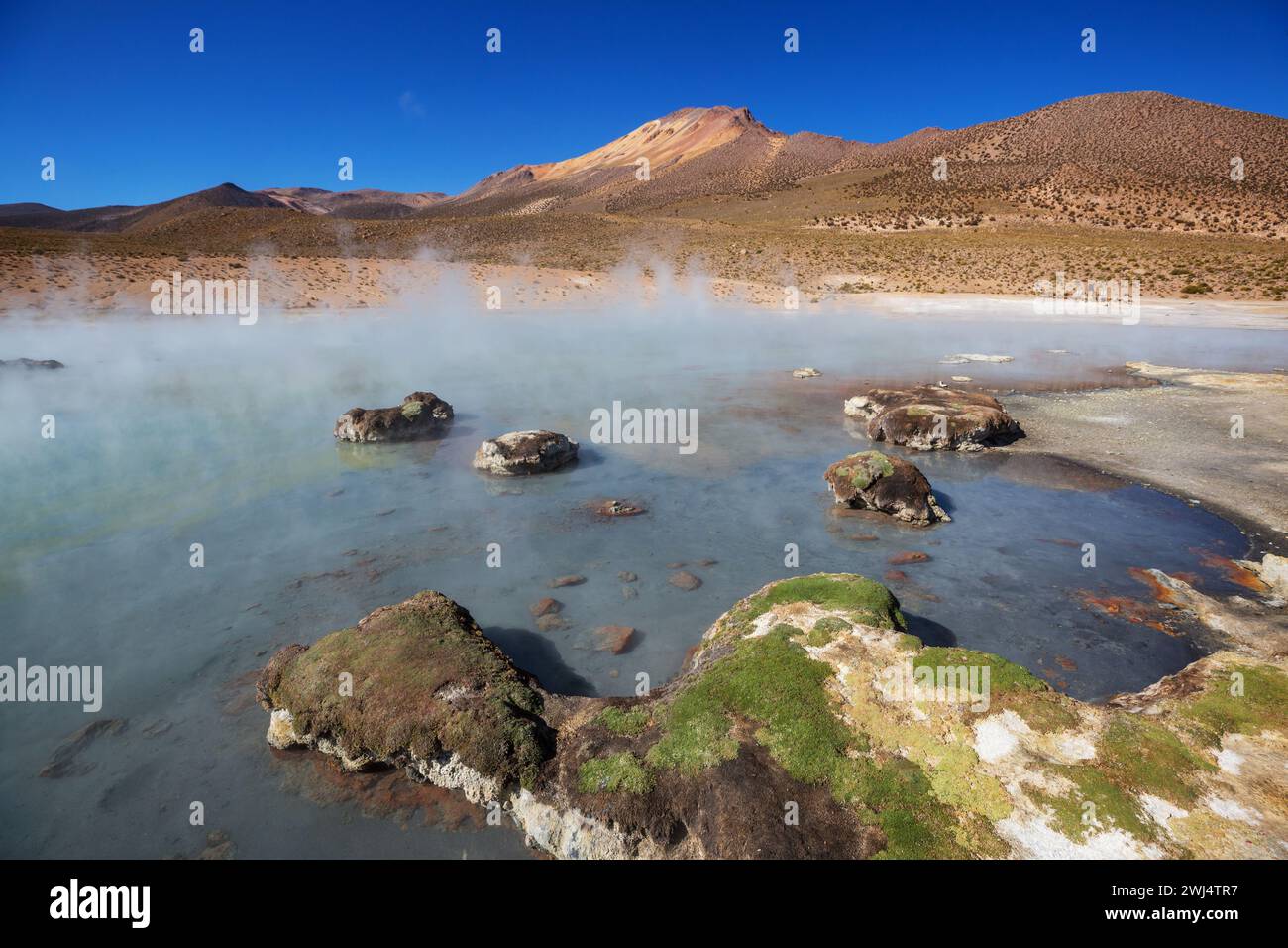 Hot springs in Chile Stock Photo - Alamy