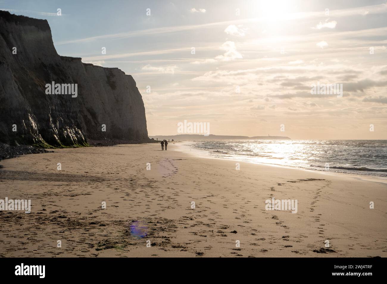 This image is characterized by the tranquil ambiance of an evening walk ...