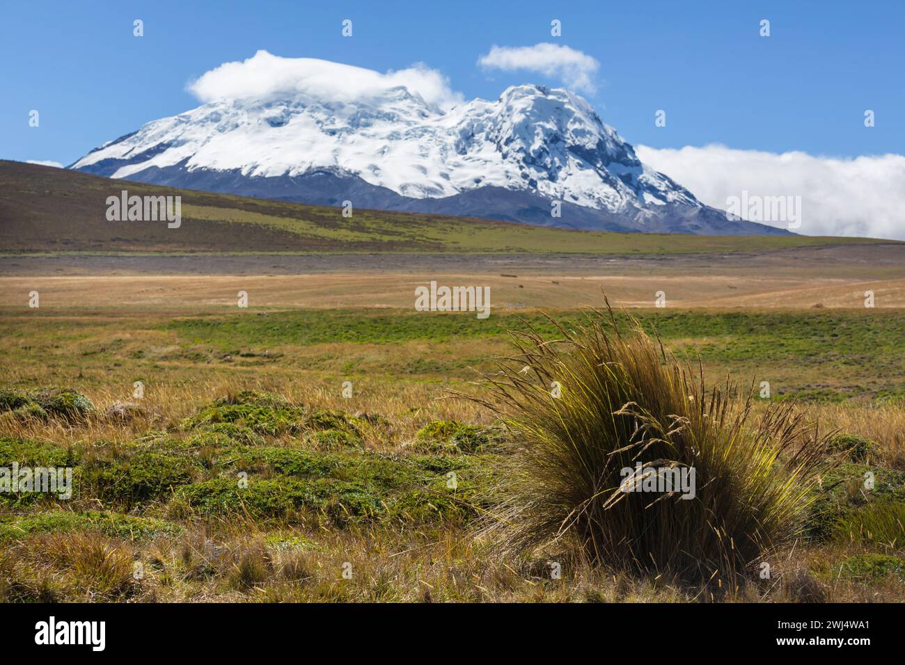 Antisana volcano reserve hi-res stock photography and images - Alamy
