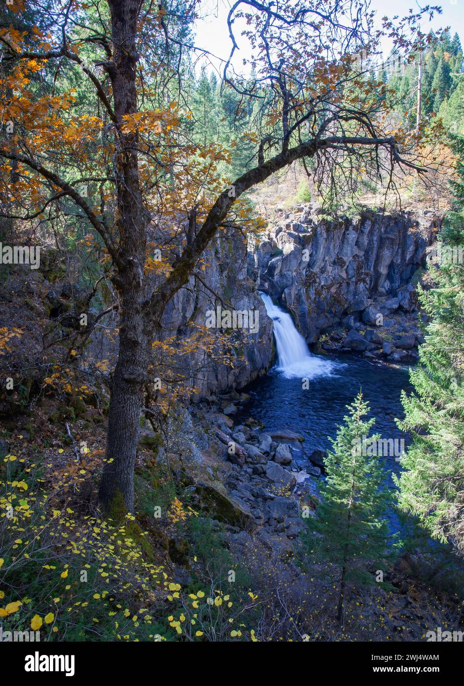 Mountain Shasta and Waterfalls in Autumn Stock Photo - Alamy