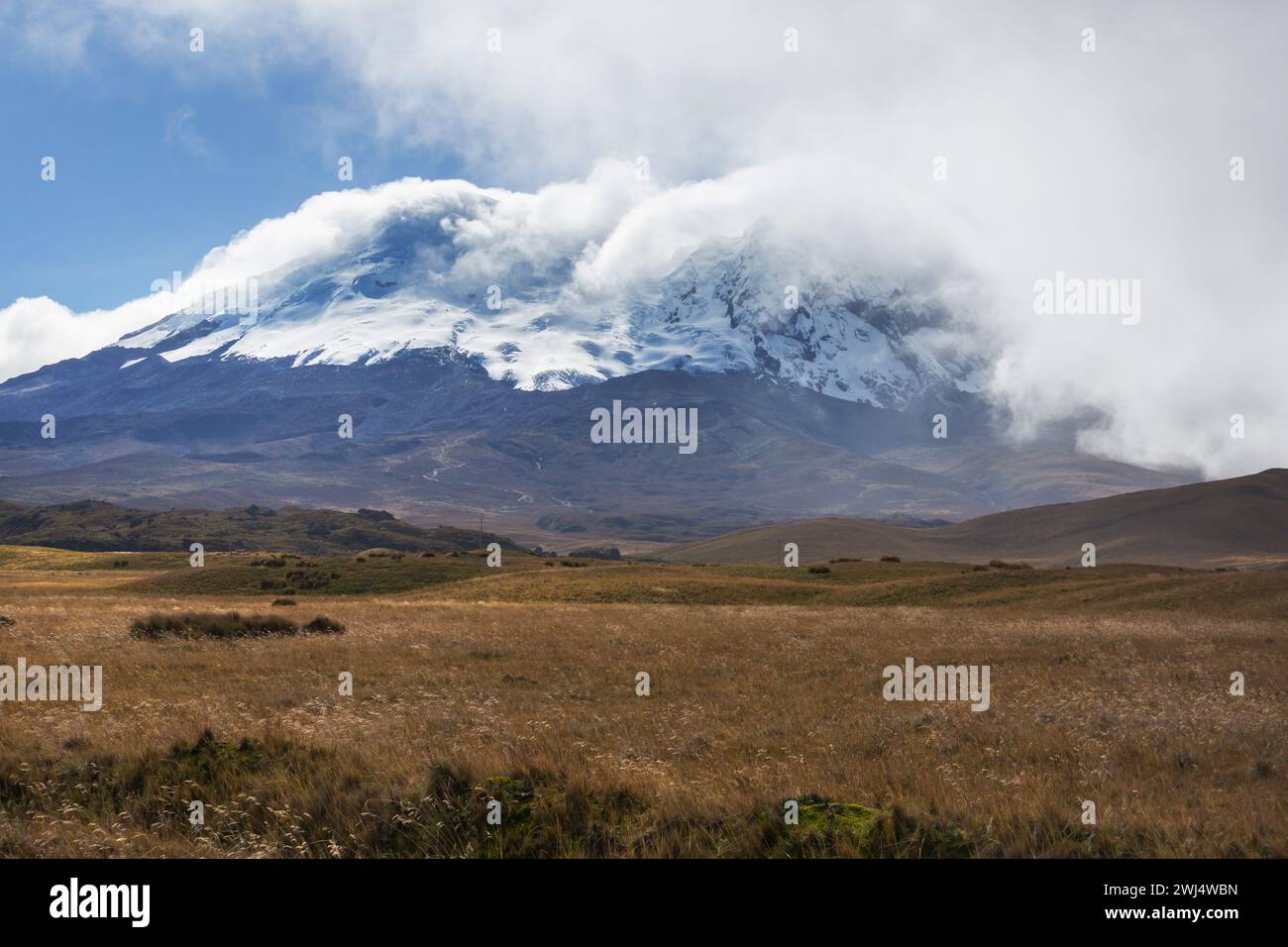 Antisana volcano ecological reserve hi-res stock photography and images ...