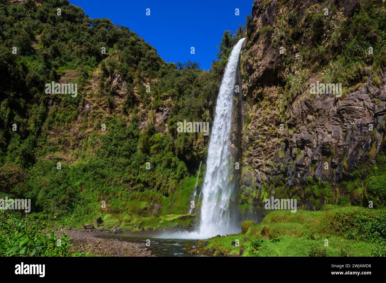 Waterfall in Ecuador Stock Photo - Alamy