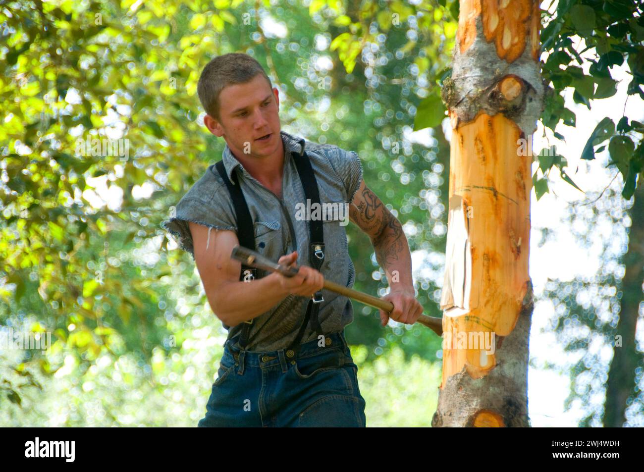 Springboard chop, Linn County Loggers' Jamboree, Linn County Pioneer ...