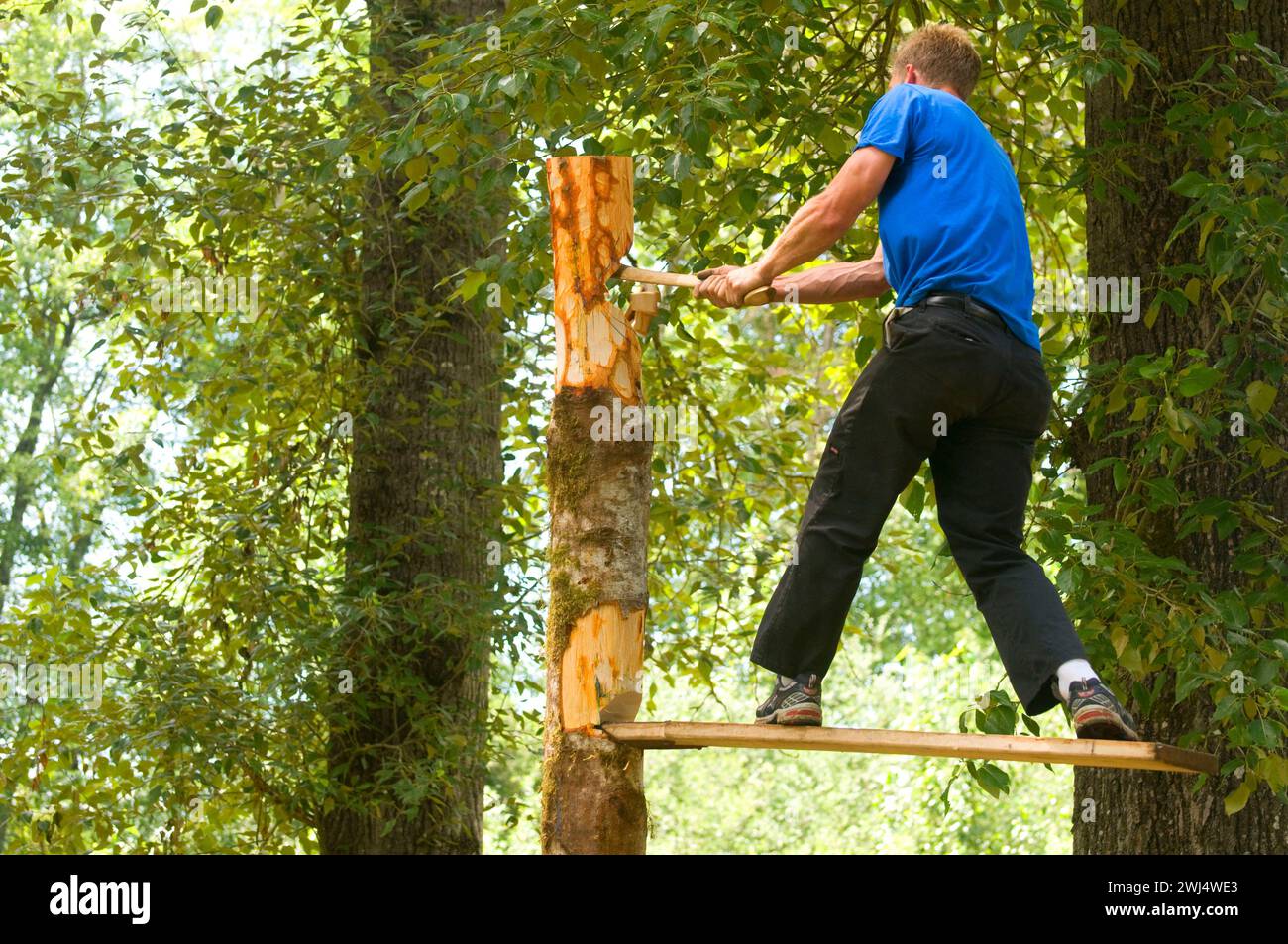 Springboard chop, Linn County Loggers' Jamboree, Linn County Pioneer ...