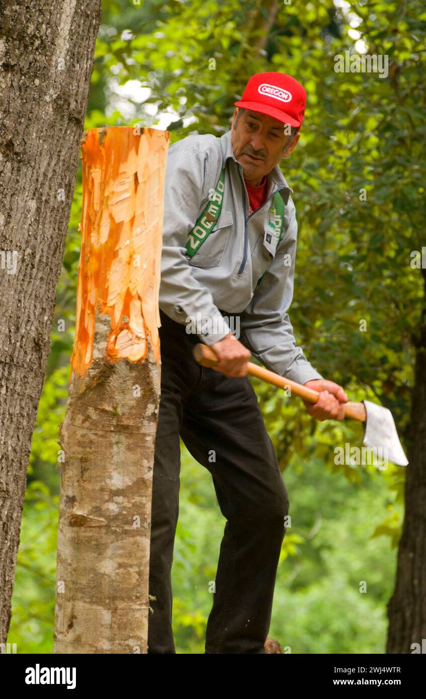 Springboard chop, Linn County Loggers' Jamboree, Linn County Pioneer ...